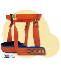 Pacific Rehab, Inc | Meywalk, Buddy Roamer, HeadPod